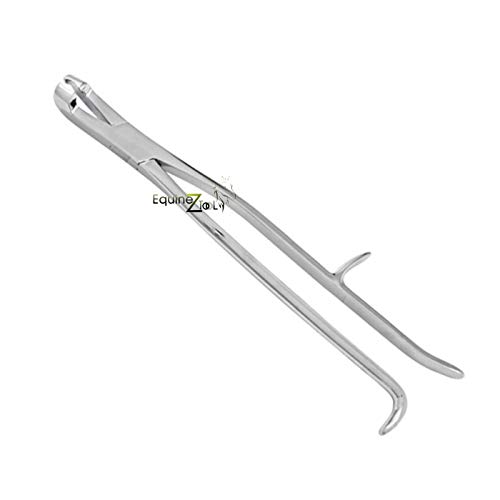 Equinez Tools Reynold's Cap Extractor Forcep Upper, Hand Crafted, Stainless Steel, Dental,Equine