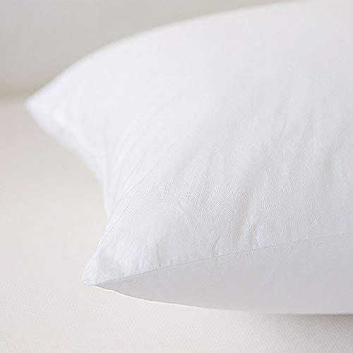 Plankroad Home Décor 15x21 Hypoallergenic Luxury 100% Small Feather Rectangular Pillow Insert, 100% Cambric Cotton Shell, Never Vacuum-Packed, Odorless, Made in USA, Set of 2