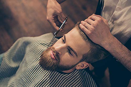 Facón Professional Razor Edge Barber Hair Cutting Scissors - Japanese Stainless Steel - 6.5" Length - Fine Adjustment Tension Screw - Salon Quality Premium Shears (The Alpha)