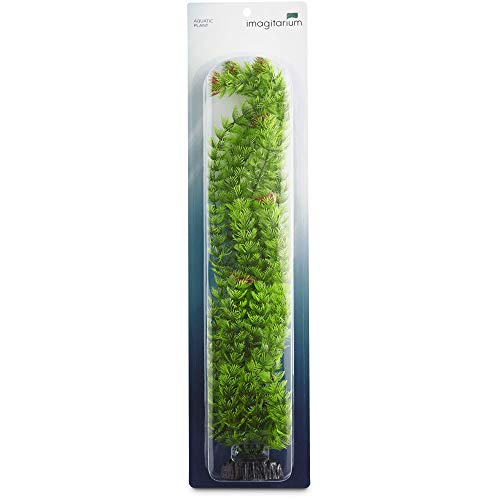Imagitarium Extra Large Ambulia Green Plant