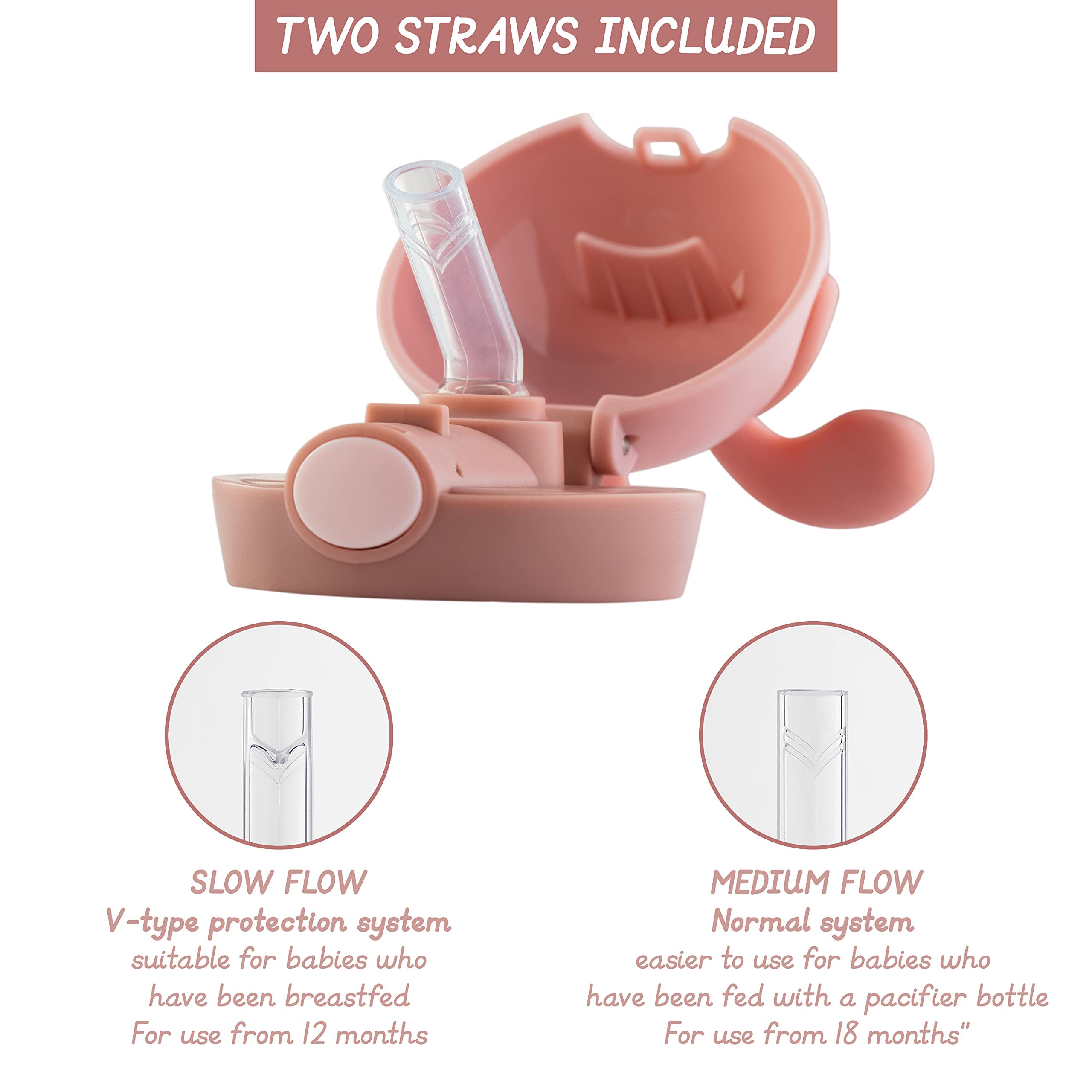 SIECKO Stainless Steel Baby Water Bottle - Straw Sippy Cups For Toddlers - 2 Kinds of Lids - Pacifier and Straw Sippy Cup - Double Walled - Insulated Baby Bottle - 9Oz
