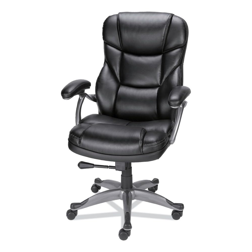 Alera ALEBN41B19 18.11 in. - 22.05 in. Seat Height Birns Series High-Back Task Chair Supports Up to 250 lbs. - Black Seat/Back, Chrome Base