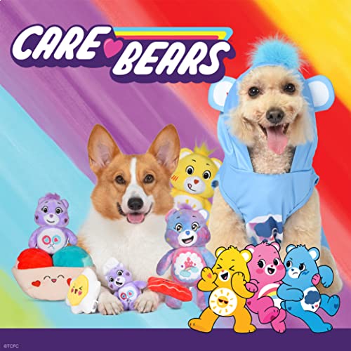Care Bear for Pets Pet Plush Squeaky Toy Grumpy Bear, 9” with Squeaker Inside and Crinkle Ears | Grumpy Bear for Dogs Squeaky Plush Toy | Collectible Dog Toys (FF19789)