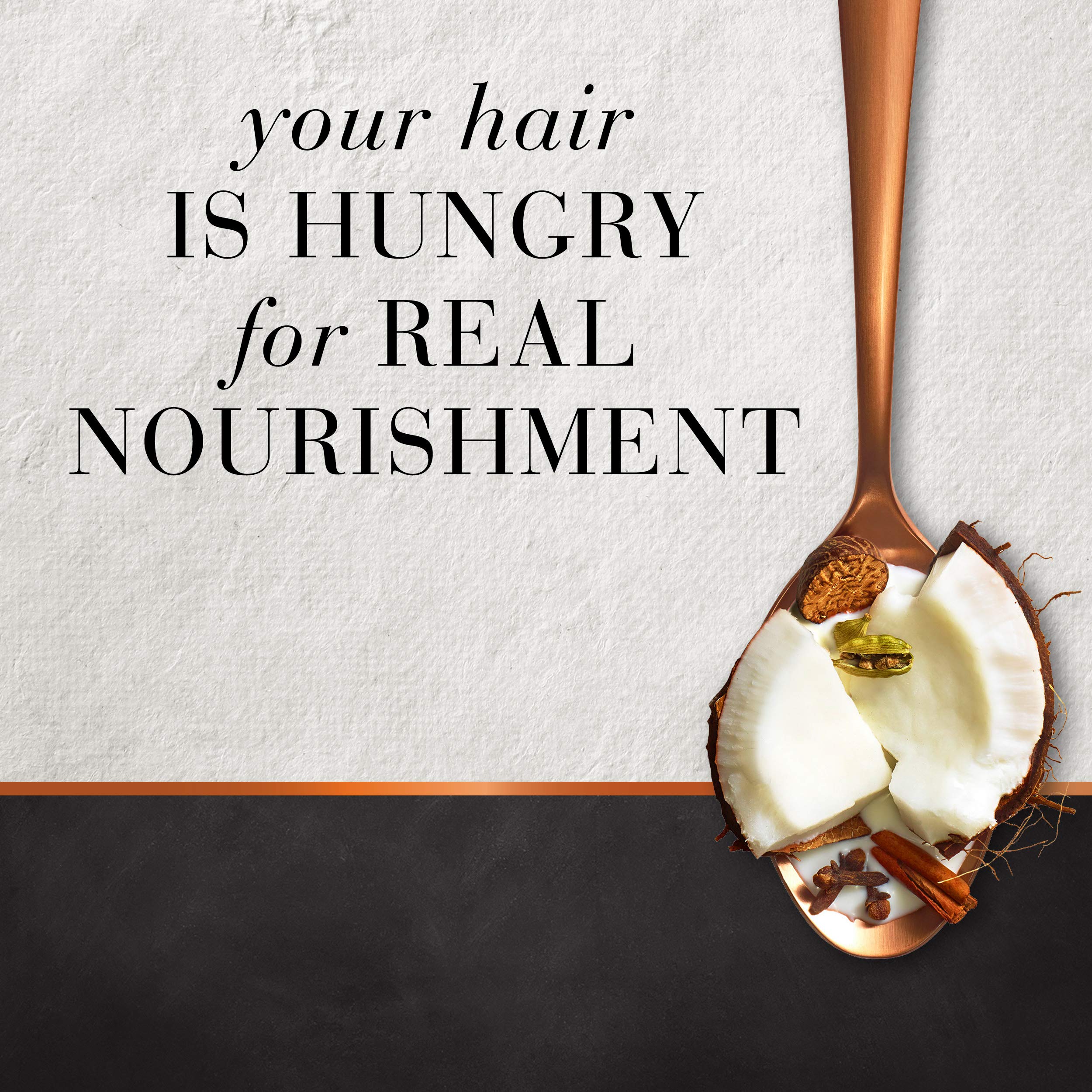 Sulfate Free Shampoo, Dye Free Nourishing Treatment, Coconut and Chai Spice, Hair Food, 17.9 FL OZ