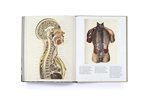 Anatomica: The Exquisite and Unsettling Art of Human Anatomy