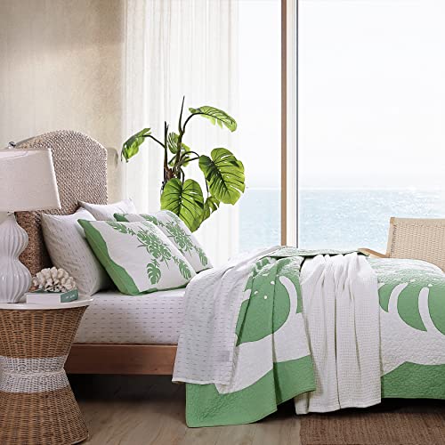 Tommy Bahama - King Sham, Cotton Bedding with Envelope Closure, Breathable Home Decor (Molokai Green, 21x37)