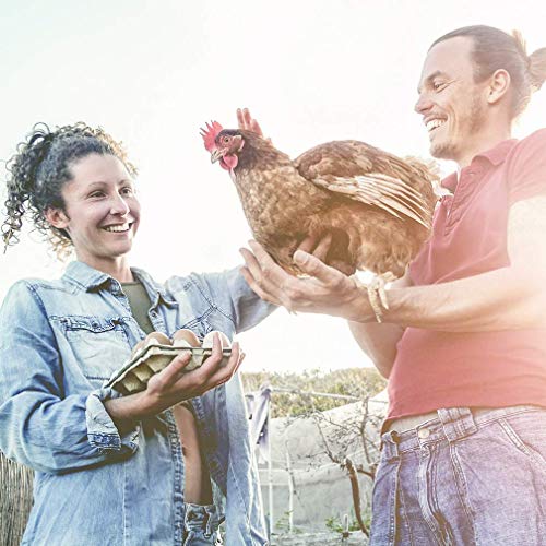 BestPet 87" x 41"Large Metal Chicken Coop Run Enclosure Pen with Waterproof Cover Outdoor Backyard Farm Cage Crate Pet Playpen Exercise Pen for Rabbit Duck Hen