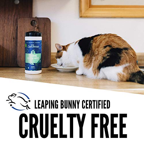 Aunt Fannie's Bundle: Floor Cleaner Vinegar Wash (Eucalyptus) + Vinegar Cleaning Wipes (Eucalyptus)