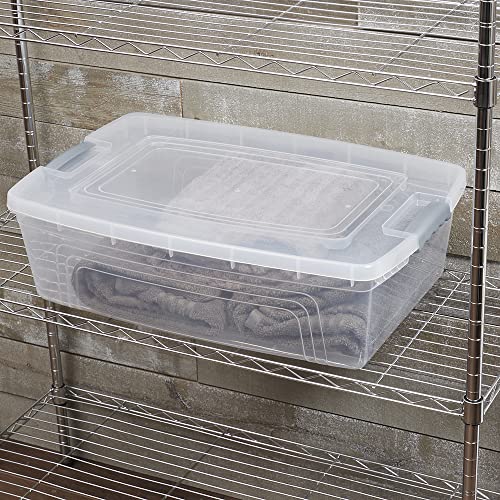 Home Basics Plastic Storage Box With Handle, Clear | Locking Tabs | Stackable Storage | Easily See Contents (30 Liter Rectangle)