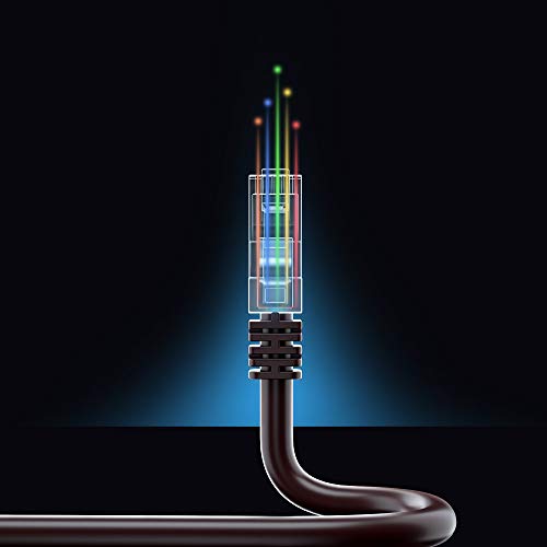 Maximm Cat 6 Ethernet Cable 100 Ft, 100% Pure Copper, Cat6 Cable LAN Cable, Internet Cable, Patch Cable and Network Cable - UTP (Brown) 100 Feet