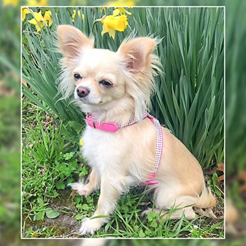EXPAWLORER Dog Harness Genuine Leather Soft Padded Pet Sparkly Rhinestone Vest with Heart Pendant for Puppy Cat, Pink (S, Pink)
