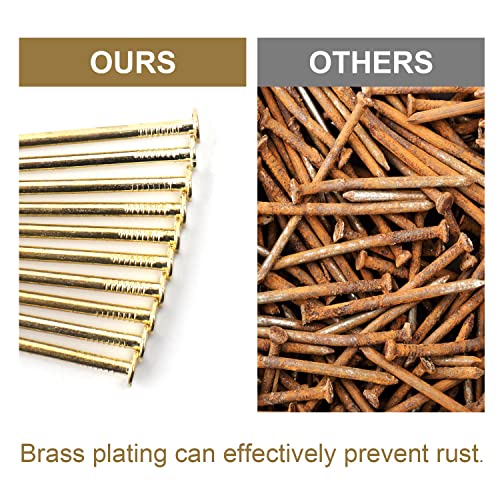 6 Sizes Gold Hardware Nails Assortment Kit, 358pcs, Brass Plated, Nails for Hanging Pictures, Finishing Nails, Wood Nails, Wall Nails for Hanging (3β, 2β, 1-1/2β, 1-1/4", 1β, 3/4")