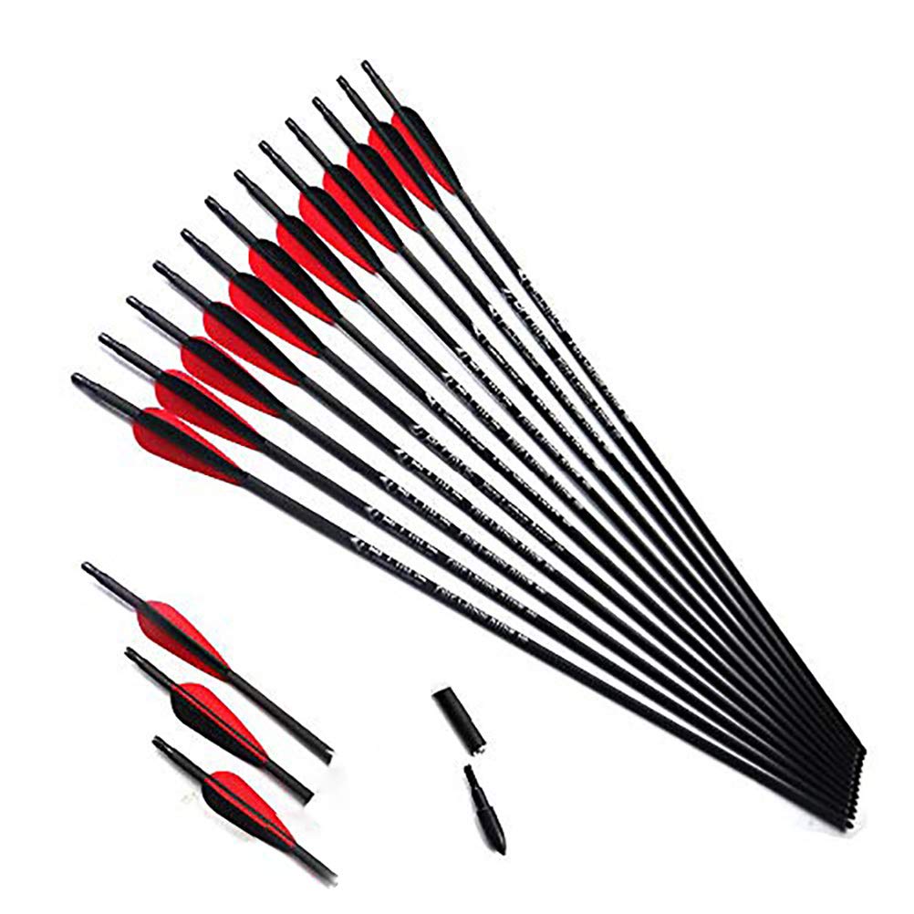 31" Arrows 800 Spine Arrows for Compound Bows ID 6.2 mm 28.5/29/30 Inch Replaceable Tip Carbon Arrow for 10/15/20/25/30/35/40 Lbs Recurve Bow Longbow Archery Hunting Target Practice