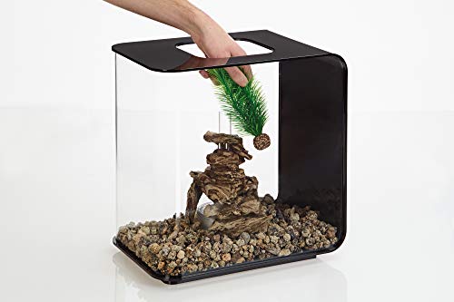 biOrb 46083.0 Feather Fern Set Small Green Aquariums