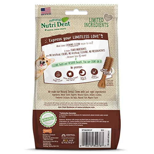Nylabone Nutri Dent Filet Mignon Flavored Dog Dental Chews 32 Mini 1.75" Treats for Dogs 5-10 lbs.
