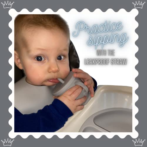 Baby Led Weaning 10 Piece Feeding Eating Supplies | Strong Suction Plate Silicone Cup Snack Lid Drink Lid with Straw Silicone Suction Bowl Bib Spoons Forks Baby Tableware Set 6MonthsToToddler(Grey)