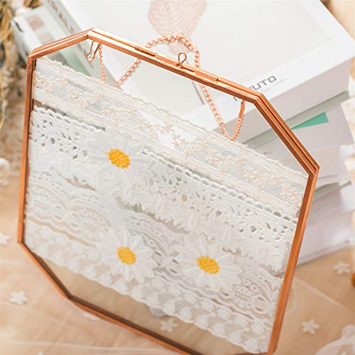 NCYP Wall Hanging 8X10 inches Long Octagon Herbarium Rose Gold Copper Glass Frame for Pressed Flowers, Dried Flowers, Poster, Double Glass, Floating Frame Style, Glass Frame Only