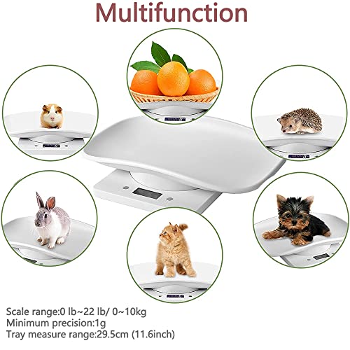 BIGNADO Digital Puppy Scale Small Pet Scale for Puppies High Precision Wiggle-Proof Multi-Function Electronic Kitten Scales Weigh Rabbit or Puppy Mini Gram Weight for Newborn Pets, 11.6''*7.3''