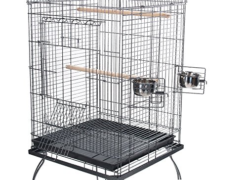 Bird Parrot Cage Cockatiel Amazon African Grey Caique Conure, 20 X 20 X 65"h
