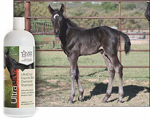 UltraCruz Equine Black Diamond Horse Shampoo, Conditioner and Fly & Tick Spray Bundle, 32 oz Each