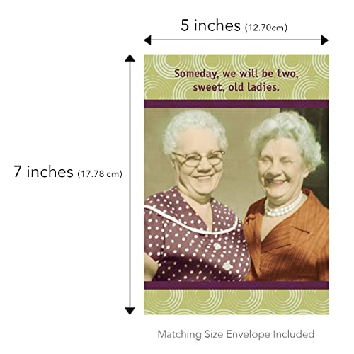 SHADE TREE GREETINGS Funny Women's Birthday Greeting Card (5" x 7") by Actual Pictures | 3 Pack + 3 Envelopes (Two Old Ladies)