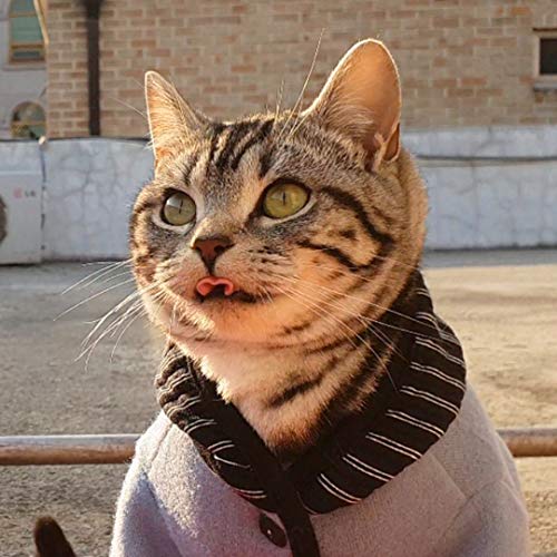 Pet Cat Dog Outdoor Hoodies Clothes for Puppy Cape Soft Cotton (Large)