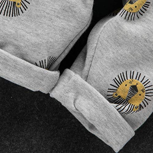 Newborn Baby Boy Clothes Little Lion Print Romper+Pants+Hat Newborn Boy Outfits Set(0-3 Months)