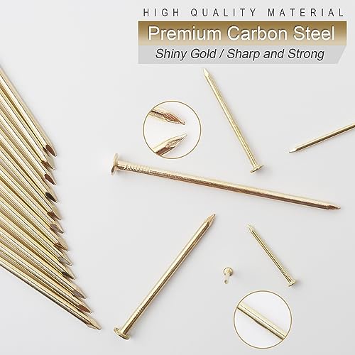 6 Sizes Gold Hardware Nails Assortment Kit, 358pcs, Brass Plated, Nails for Hanging Pictures, Finishing Nails, Wood Nails, Wall Nails for Hanging (3β, 2β, 1-1/2β, 1-1/4", 1β, 3/4")
