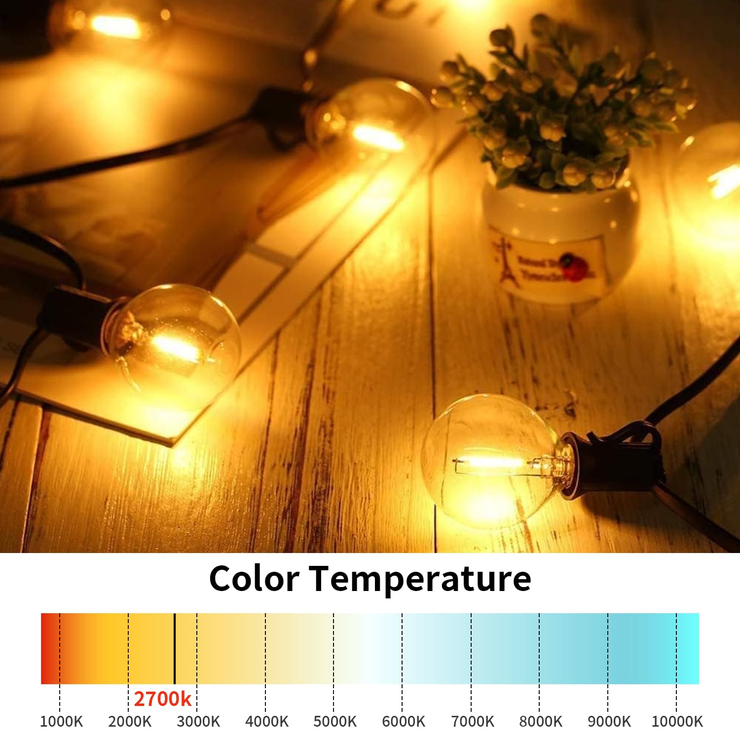 G40 Replacement Bulbs for Outdoor String Lights, 16 Pack Clear Globe Light Bulbs, Waterproof String Light Bulbs Replacement for Indoor Outdoor Garden Patio Party Decorations, Lighting Facts