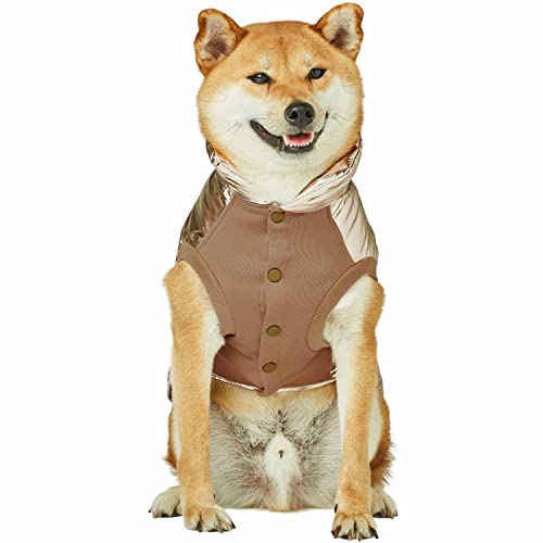 Blueberry Pet 2023 New Cozy & Comfy Windproof Lightweight Quilted Fall Winter Glossy Dog Puffer Jacket in Gold, Back Length 24", Size 22, Warm Coat for Large Dogs