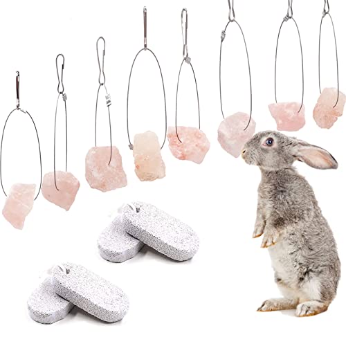BNOSDM 12 Pack Small Animals Himalayan Salt Licks Set, 6 Rabbit Mineral Salt Blocks and 4 Hamster Teeth Grinding Stones Natural Bunny Chew Treat Toys for Rats Guinea Pigs Ferrets Chinchillas