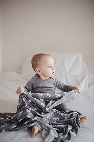 Copper Pearl Large Premium Knit Baby Swaddle Receiving Blanket Grey and White Moose Scout