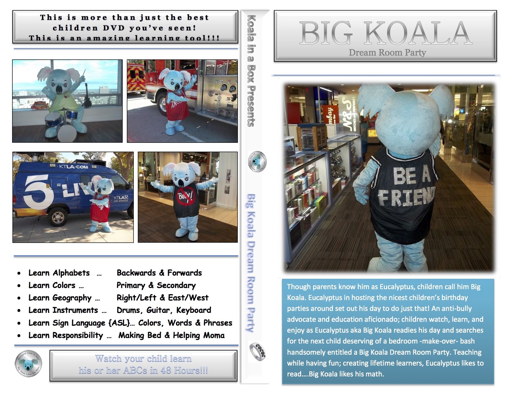 Big Koala Dream Room Party