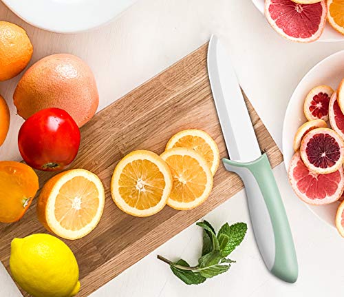 Premium Ceramic Knife 4 inches, Kitchen Paring Knife - Ultra Sharp Fruit Knife for Vegetable Food with Hippo Shaped Cover, Small Portable Pairing Knives Food knife with Sheath, Green, by Jonbyi
