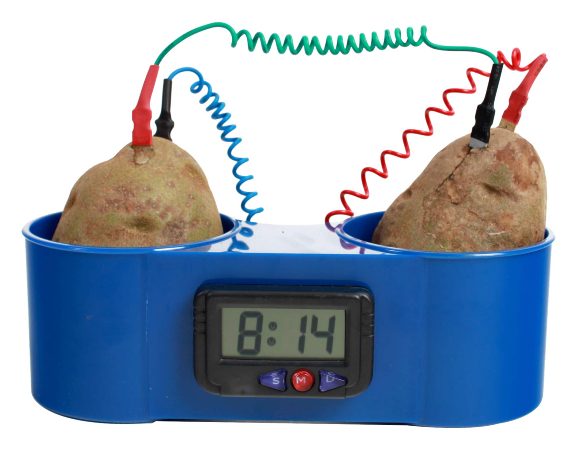 American Educational Blue Plastic Two Potato Clock, 8-1/2" Length x 3-1/2" Width x 2-3/4" Height
