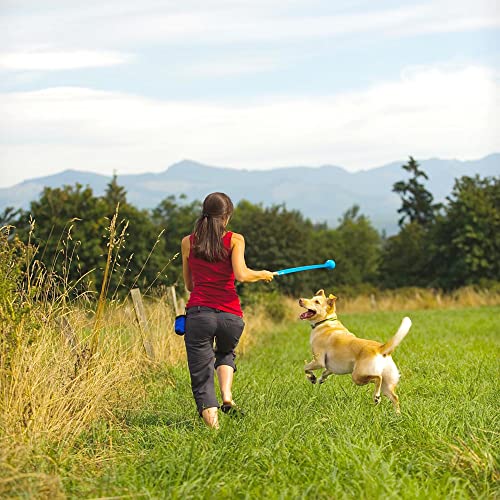 ChuckIt! Junior 18M Dog Ball Launcher, 18" Length, Includes Medium Ball (2.5") For Dogs 20-60 Pounds