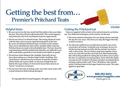 Premier 1 Lamb 'N' Kid Feeding Bottle with Pritchard Teat