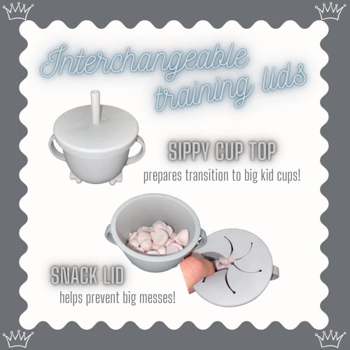 Baby Led Weaning 10 Piece Feeding Eating Supplies | Strong Suction Plate Silicone Cup Snack Lid Drink Lid with Straw Silicone Suction Bowl Bib Spoons Forks Baby Tableware Set 6MonthsToToddler(Grey)
