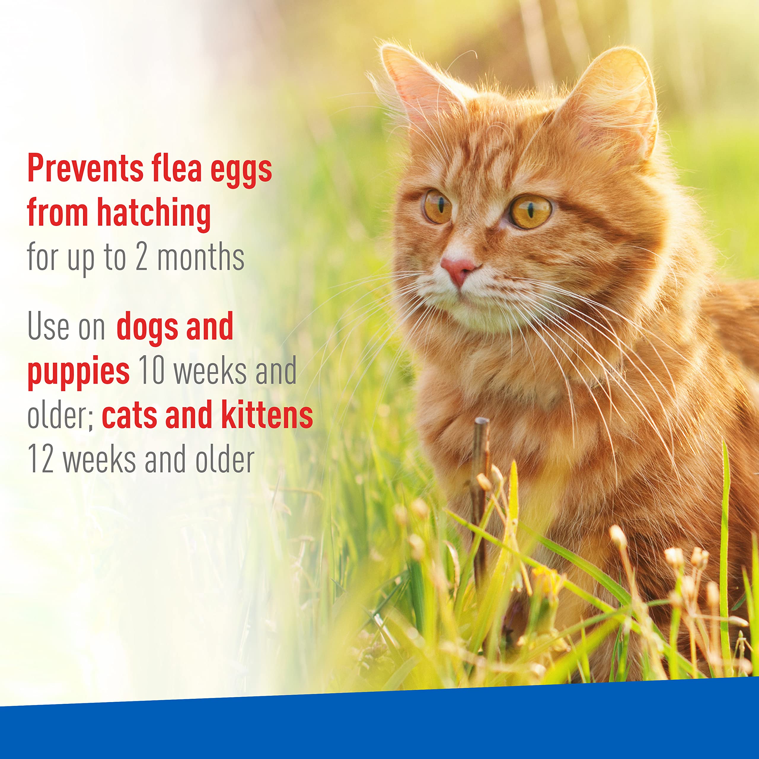 Adams Flea & Tick Spray For Dogs and Cats | Kills Fleas and Ticks Through Contact, Kills Flea Eggs, Flea Larvae, and Prevents Flea Egg Hatch | Controls Flea Reinfestation For Up To 2 Months | 16 Oz