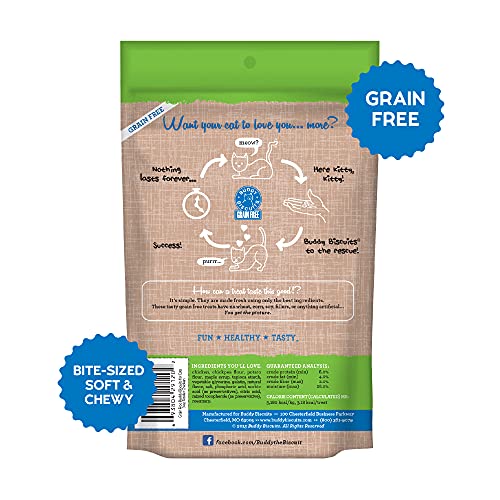 Cloud Star, Buddy Biscuit Grain Free Tender Chicken Gluten Free, 3 Ounce