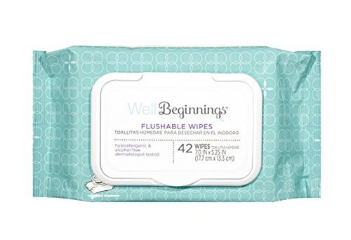 Well Beginnings Flushable Toddler Wipes 42 Ct (2 Pack) 84 Total Wipes