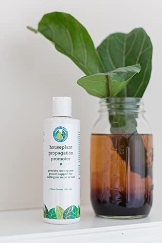 Houseplant Propagation Promoter & Rooting Hormone, Root Stimulator, Plant Starter Solution for Growing New Plants from Cuttings (Formulated for Fiddle Leaf Fig or Ficus Lyrata)