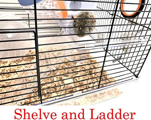 Large Clear Transparent Habitat Dwarf Syrian Hamster Rodent Gerbil Mouse Mice Critter Cage with Top Play Zone