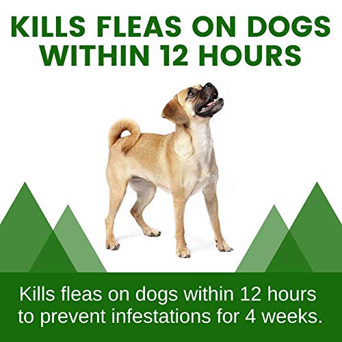 Adventure Plus Flea Prevention for Dogs, Topical Flea Treatment and Control (Pack of 8, Small (3-10 lb))