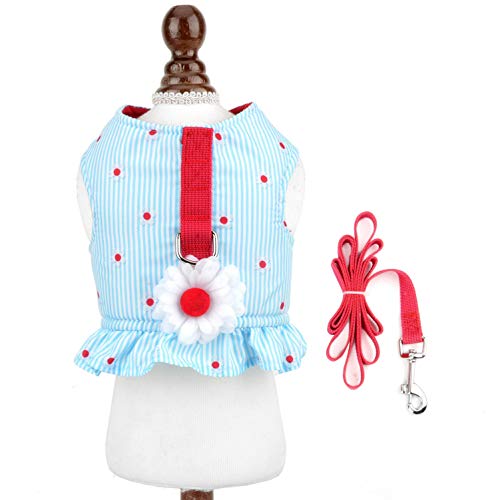 SMALLLEE_LUCKY_STORE Bow Flower Striped Print Cat Small Dog Harness Dress with Leash for Girls Adjustable No Pull Escape Proof Soft Walking Jacket Waterproof Puppies Kitten Harness Vest Outdoor,Blue S