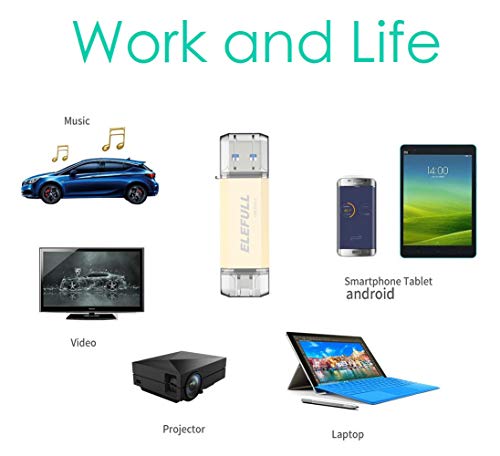 Type C USB Flash Drive 256GB 128GB 64GB 32GB for Android Smart Phones Computer Laptop USB-C 3.0 High Speed Copay Photos Videos Music etc.(32GB)