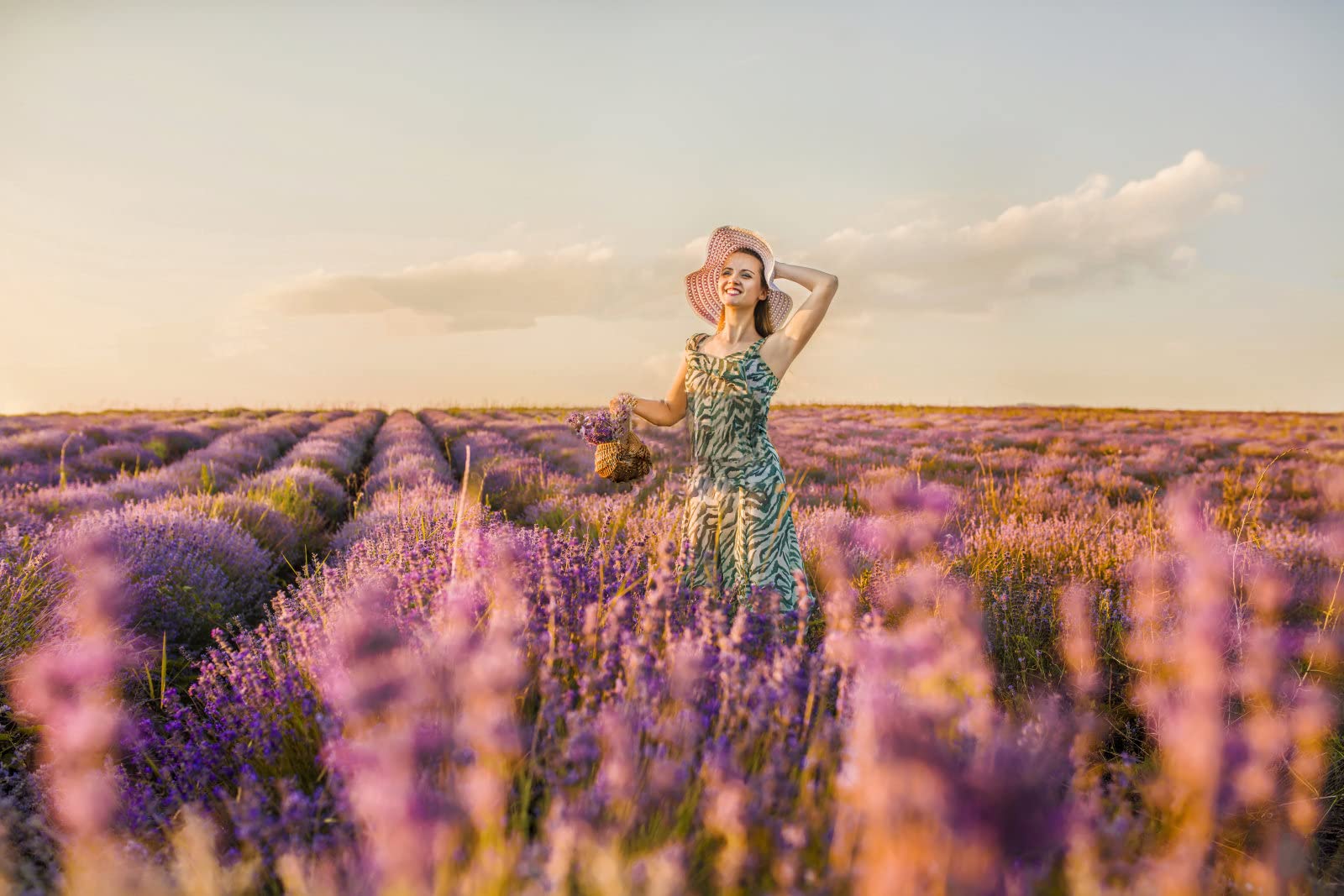 5000+ Lavender Seeds Non-GMO Heirloom Perennial Herb Seeds 90% Germination Lavender Seeds for Planting Indoors, Outdoors