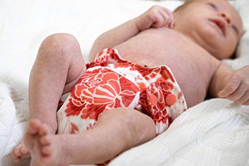 No Prep Cloth Diaper for Newborns β Smart Bottoms Born Smart 2.0 β Natural Fiber Interior (White)