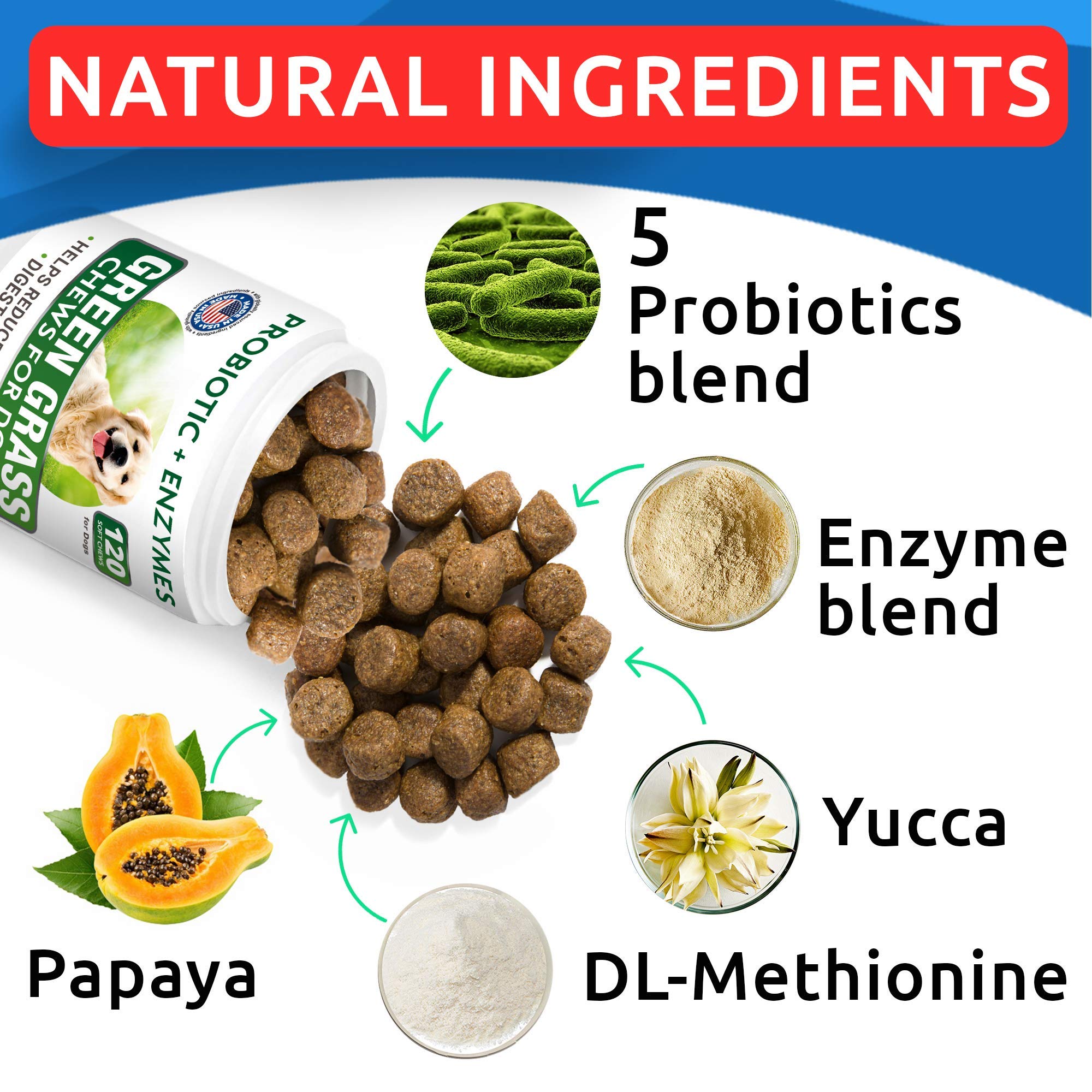 All-Natural Grass Treatment for Dog Urine Bundle - Grass Restore Treats for Dogs - Pee Lawn Repair Chews w Probiotics - Dog Urine Neutralizer Solution for Grass Burn Spots - Made in USA