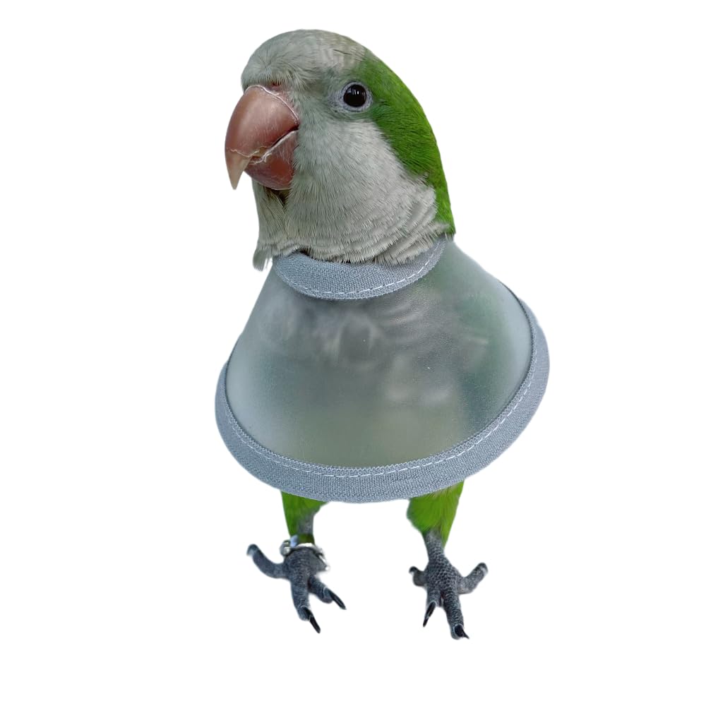 Adjustable Parrot Cone Collar, Safe and Practical Cotton Collar to Prevent Bites and Licking Wounds, to Help heal (2M)